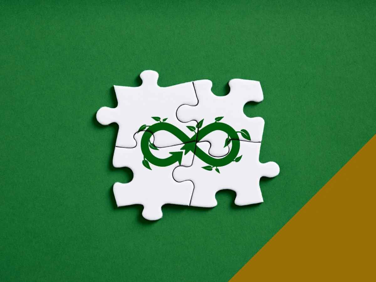 Collaboration for a sustainable future via a hands-on exploration of ...